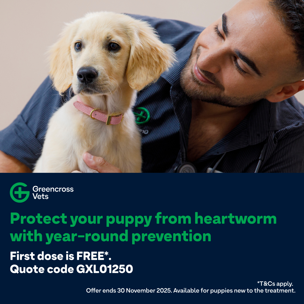 Spring Promotions - Greencross Vets